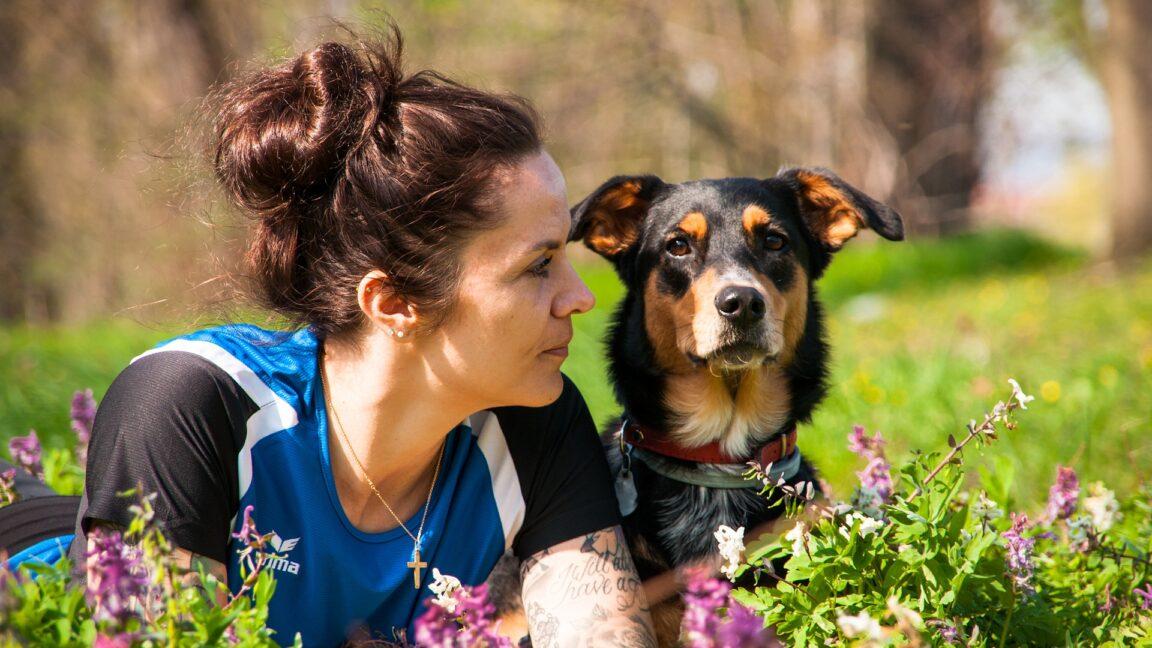 Dog Friendly Petting Zoos & Farms To Visit With Your Pooch - DOG Blog