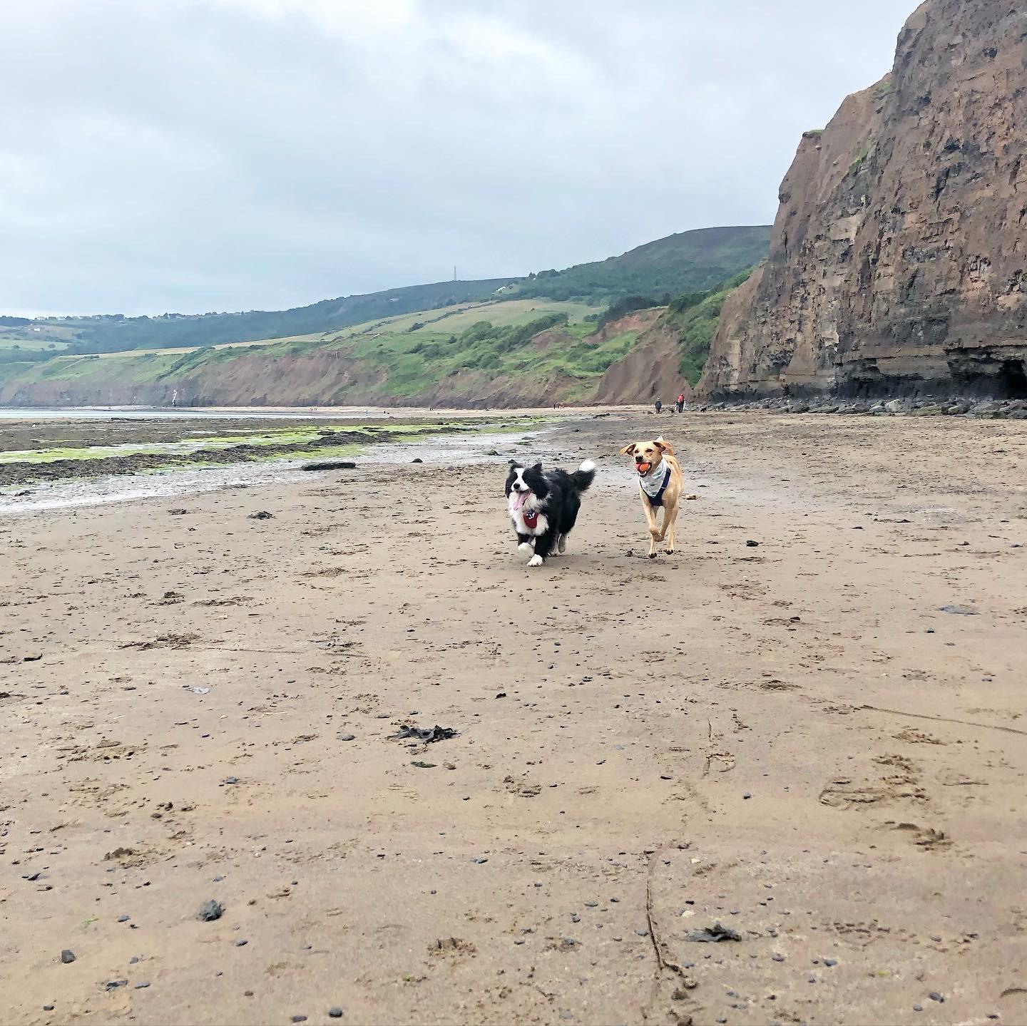 Boggle Hole Beach - One of North Yorkshire’s Hidden Gems - Houndy, by ...