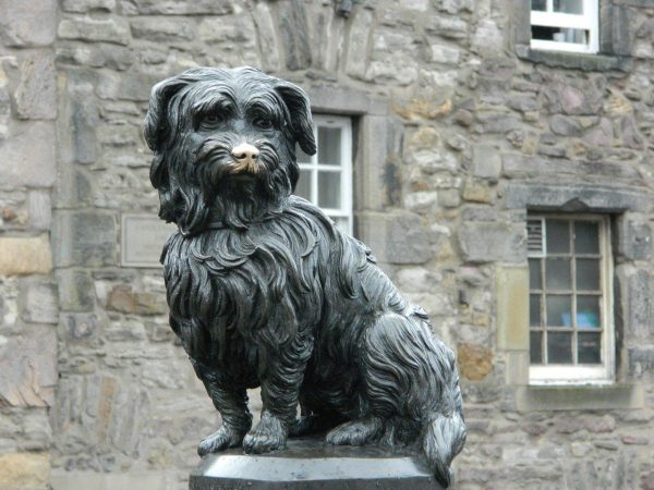 Our Guide to Dog Friendly Edinburgh City Centre - Houndy