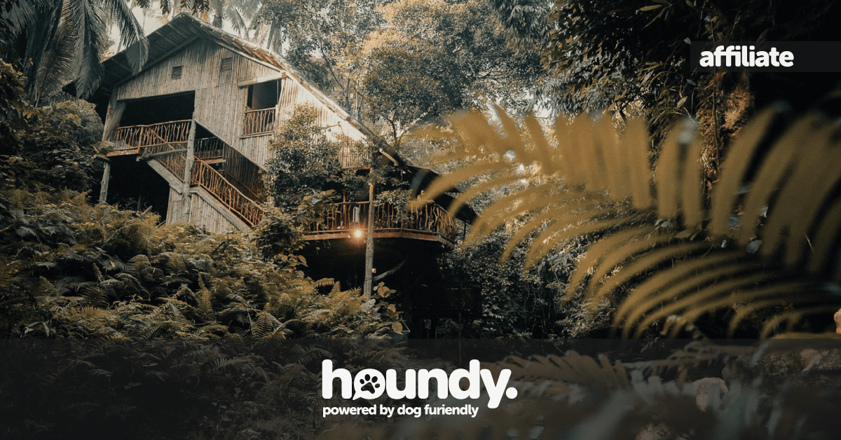 12 Dog Friendly Treehouse Holidays To Book With Your Dog