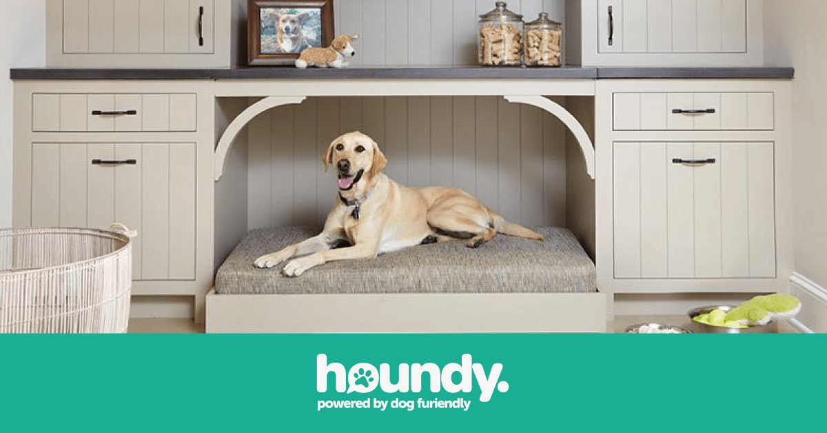 Designing the Perfect Pet Nook for Your Furry Friend - Dog Blog ...