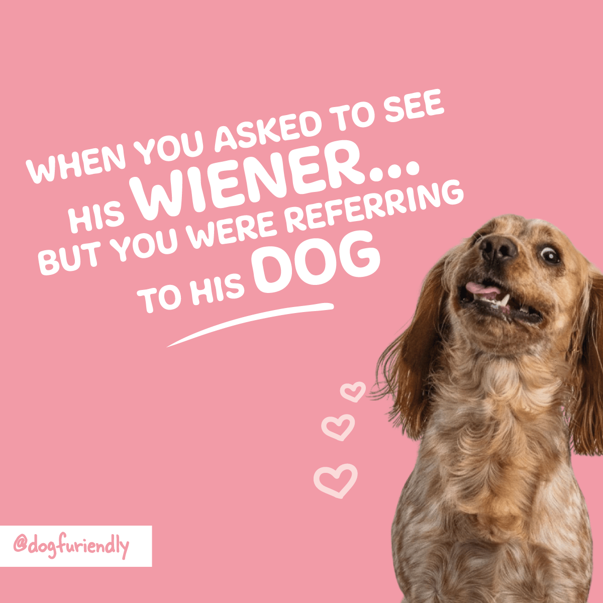 8 Doggy Memes To Say I Woof You - Dog Blog | Houndy, by Dog Furiendly