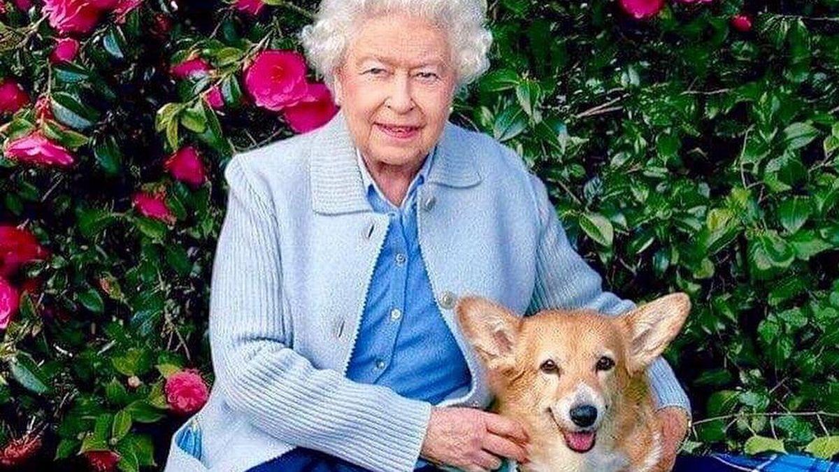 What Happens to the Queen's Dogs Now? - Dog Blog | Houndy, by Dog Furiendly