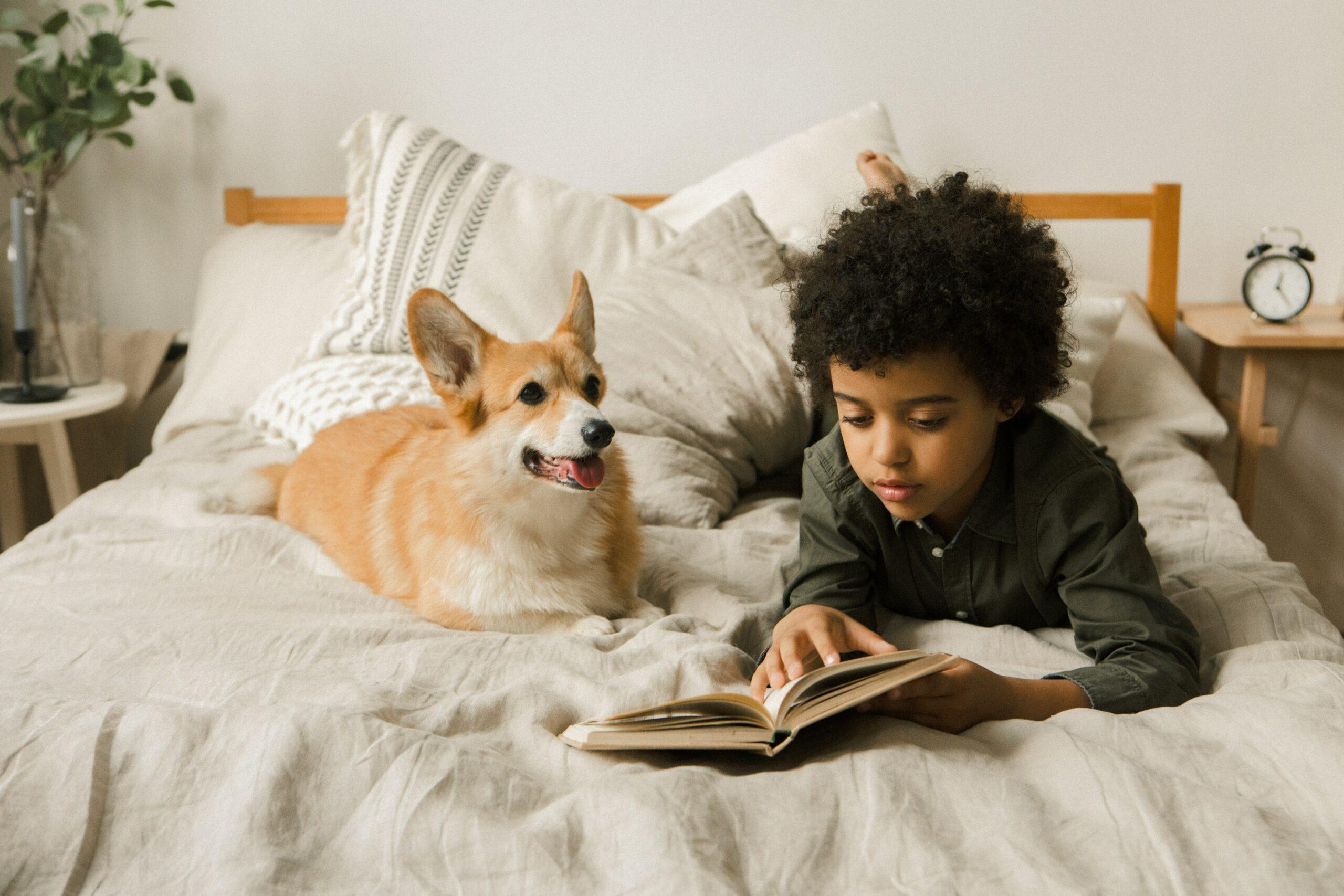 Learn 5 Amazing Facts About Dogs For Kids - Dog Blog | Houndy, by Dog ...