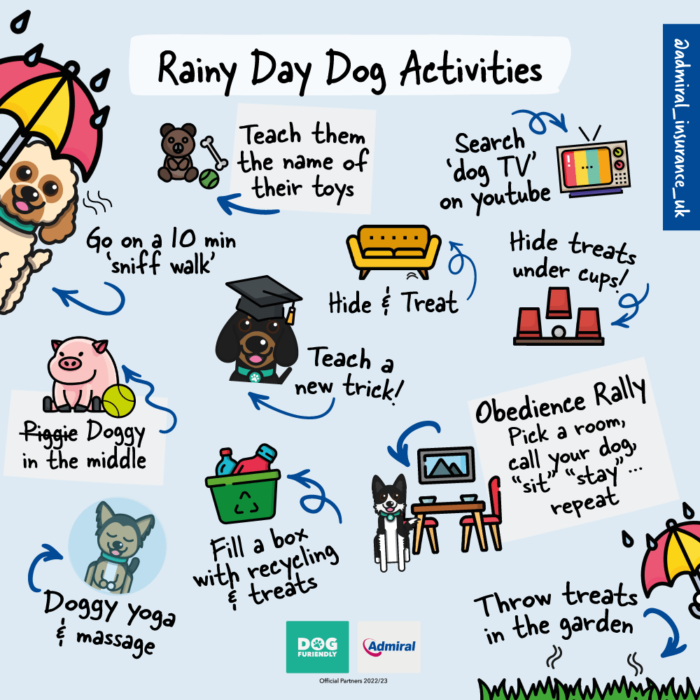 9 Rainy Day Dog Activities To Keep Your Dog Busy - Houndy