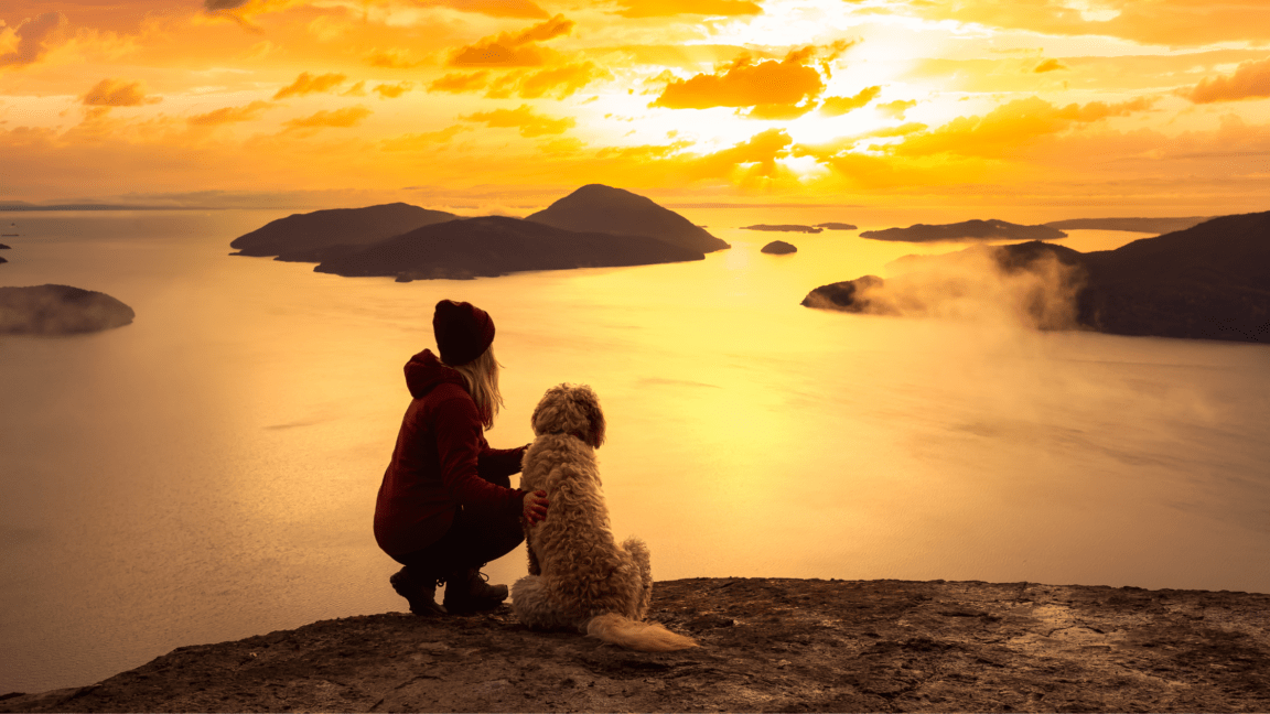 Date Ideas for Dog Lovers: A Guide to the Perfect Dog Date - Dog Blog ...