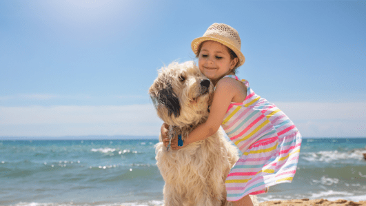 Golfing Pets: How To Involve Your Dog In A Game Of Golf - Houndy