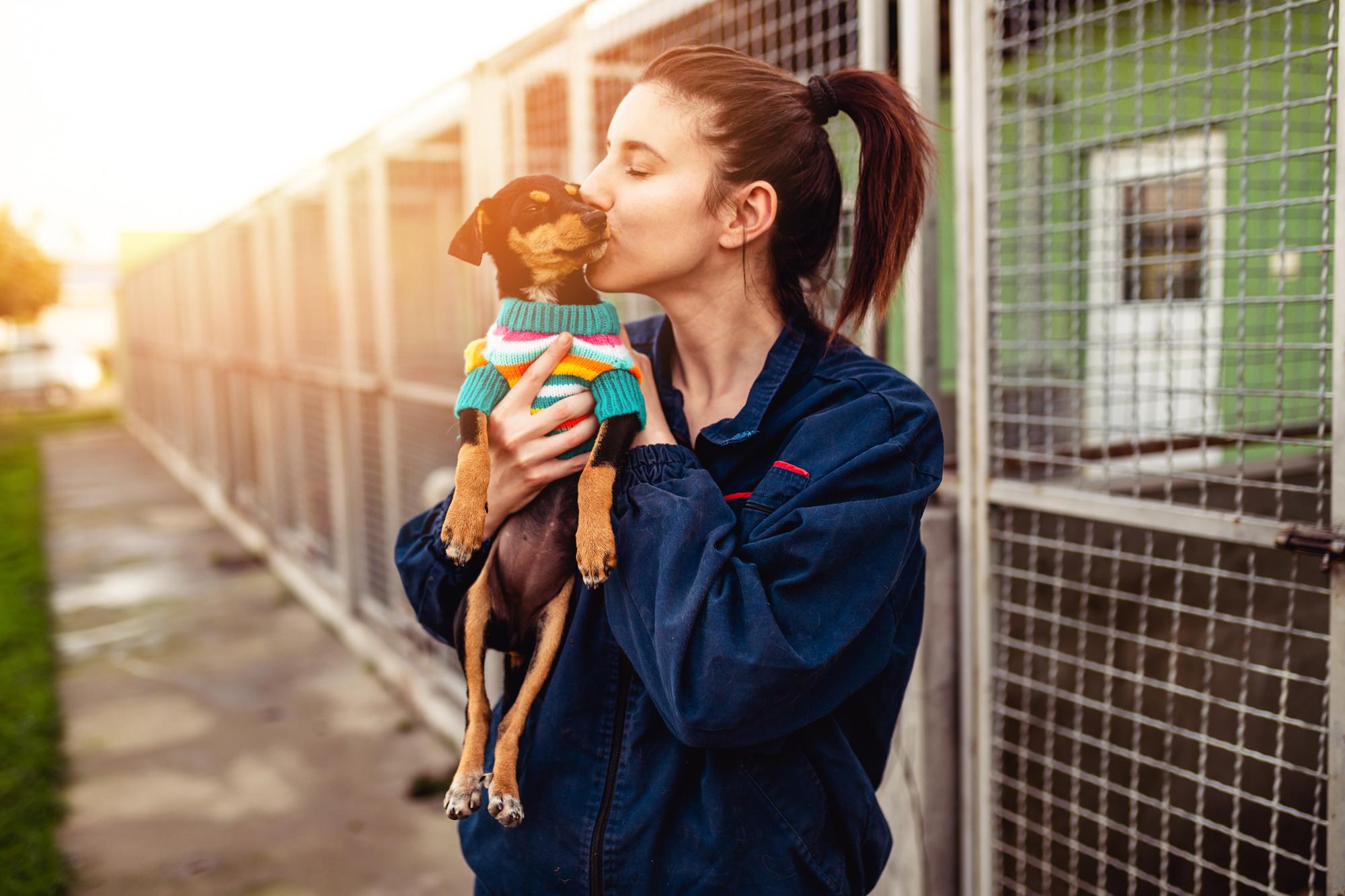 How To Choose A New Fur Baby - Dog Blog | Houndy, by Dog Furiendly