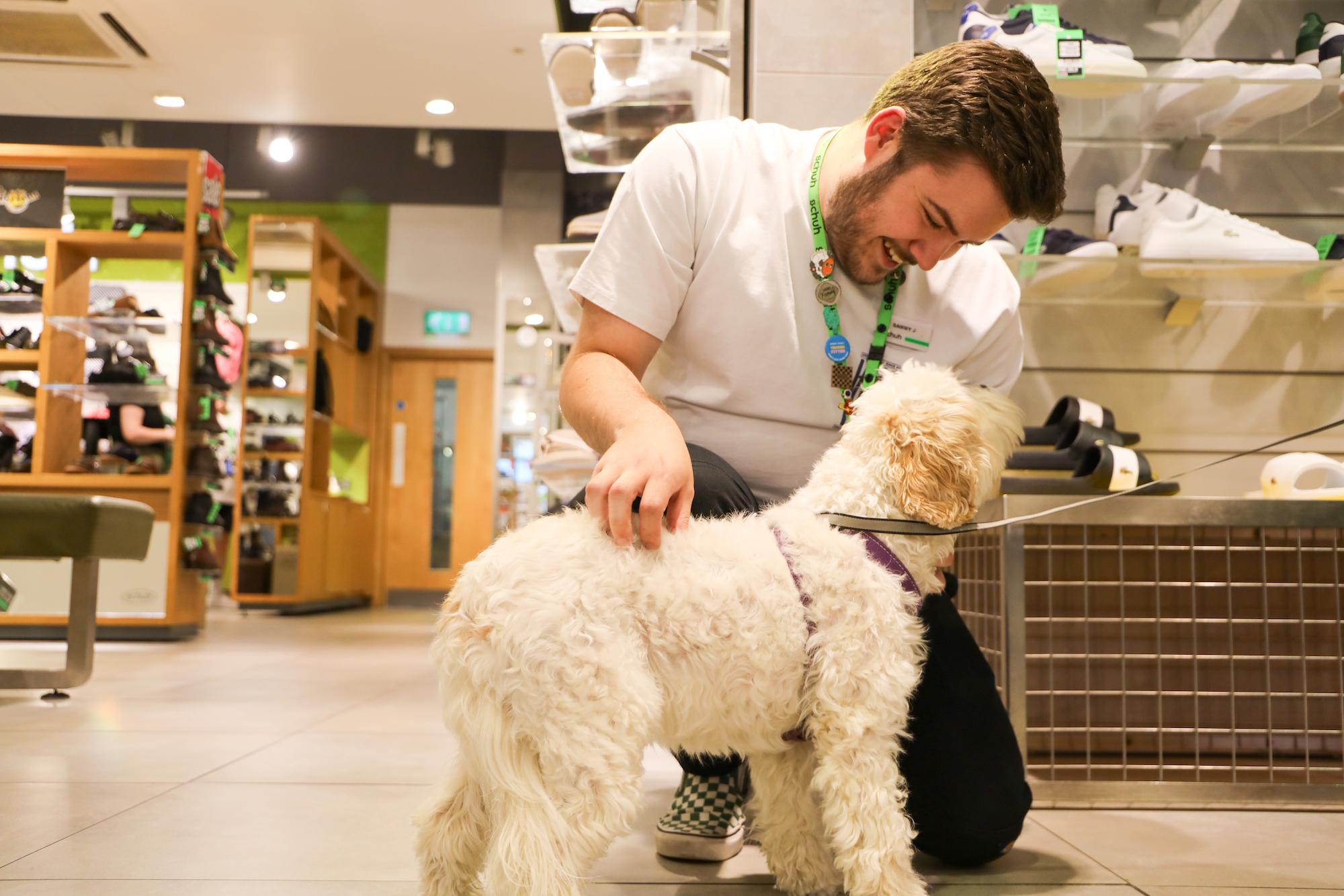 Wales Welcomes The First Dog Friendly Indoor Shopping Centre - DOG Blog