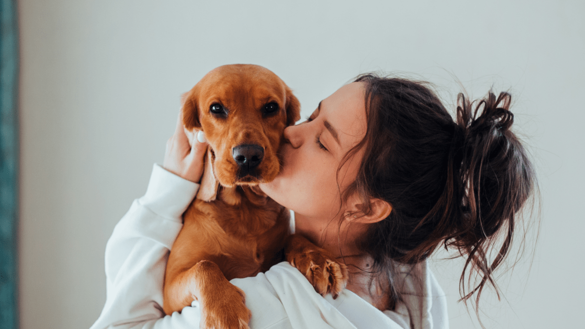 Love Poems for Dogs: A Heartfelt Tribute to Our Furry Companions - Houndy