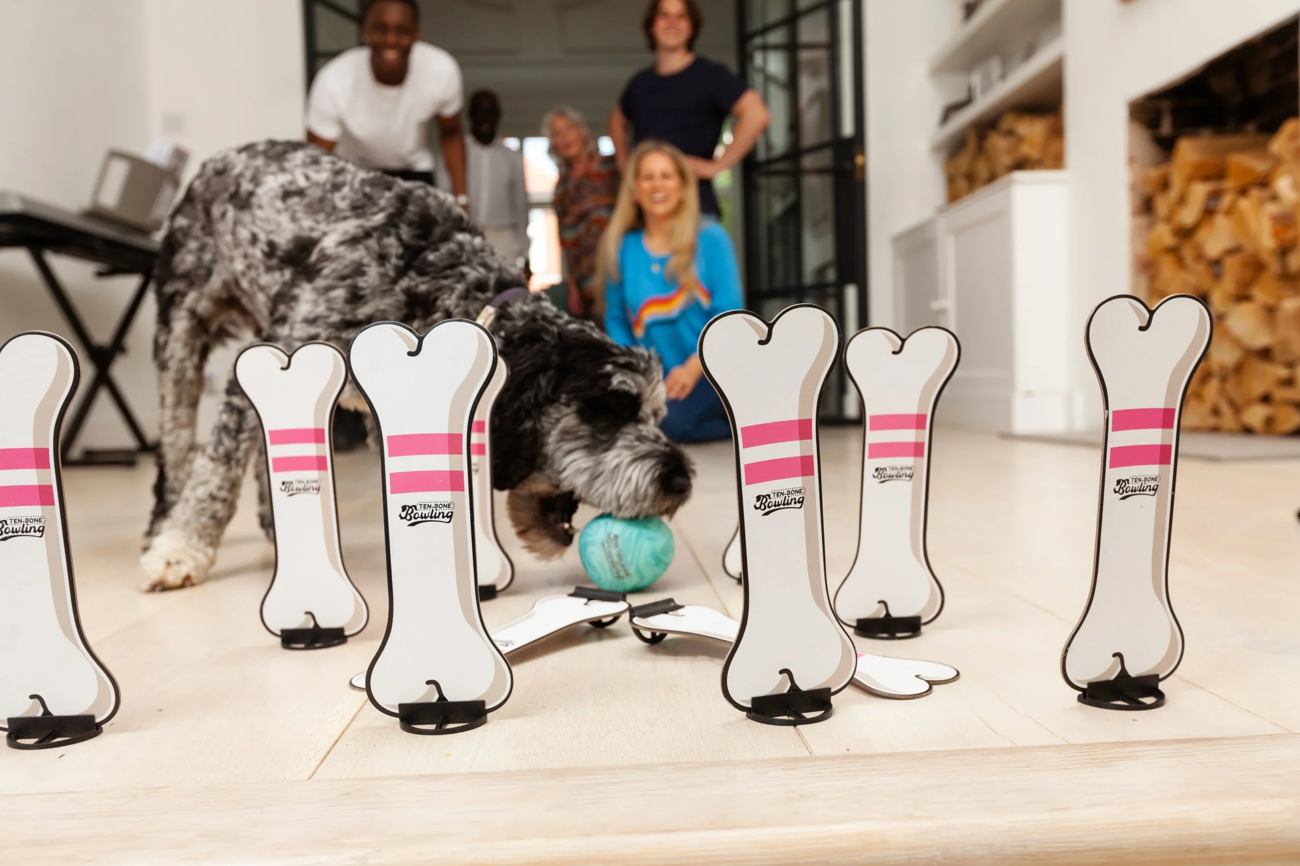 Dog Board Games to Keep Your Tail Wagging on Game Night - Houndy