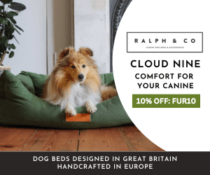 How to Create a Dreamy Dog Bedtime Routine on Holiday - Dog Blog ...