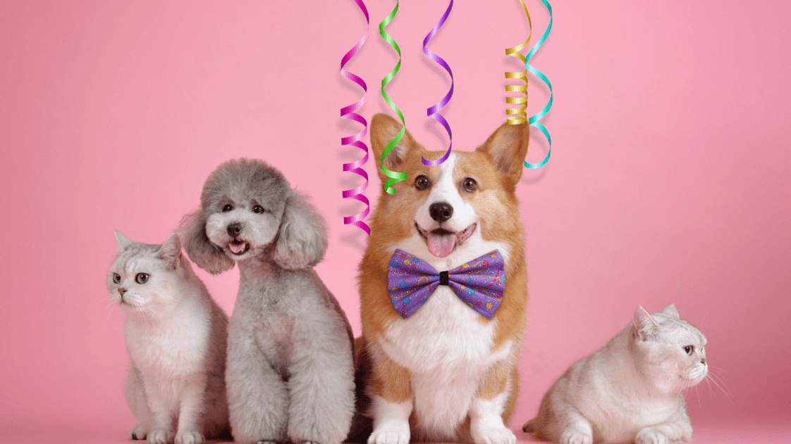 Dog Friendly Petting Zoos & Farms To Visit With Your Pooch - Houndy