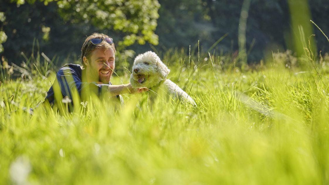 Is Travelodge Dog Friendly? Your Ultimate Guide - DOG Blog
